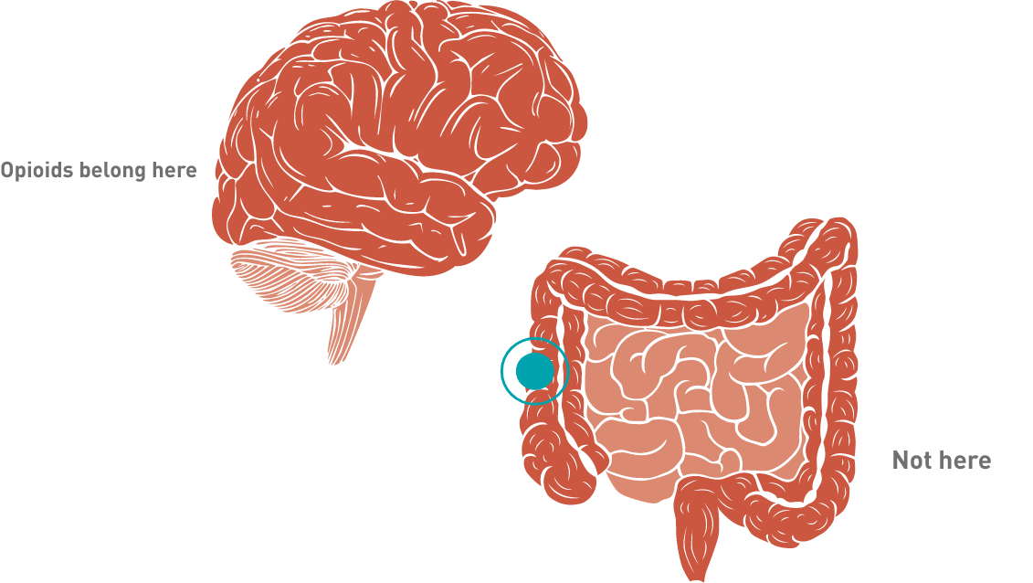 Rizmoic® (Naldemedine) – Information for UK Healthcare Professionals