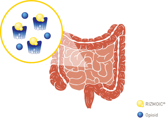 Rizmoic® (Naldemedine) – Information for UK Healthcare Professionals