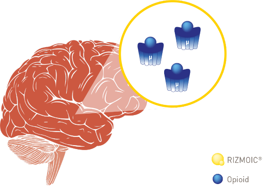 Rizmoic® (Naldemedine) – Information for UK Healthcare Professionals